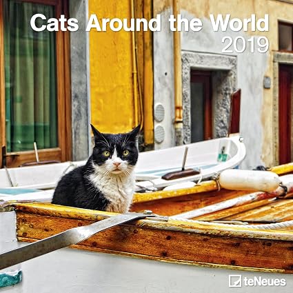 2019 Cats Around the World Calendar - 30 x 30 cm : teNeues Calendars ...