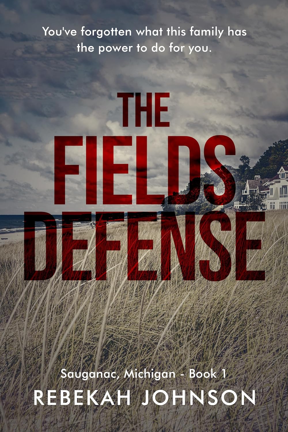The Fields Defense (Sauganac, Michigan Suspense Book 1) - Kindle ...