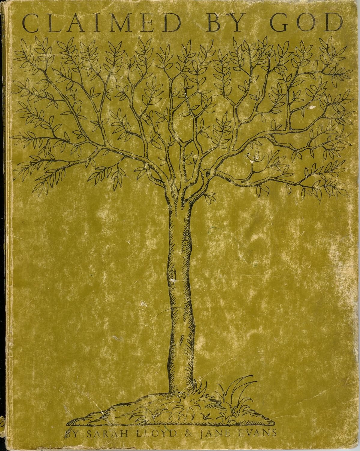 Claimed By God: A Course for 7th and 8th Grades: Sarah & Evans, Jane ...