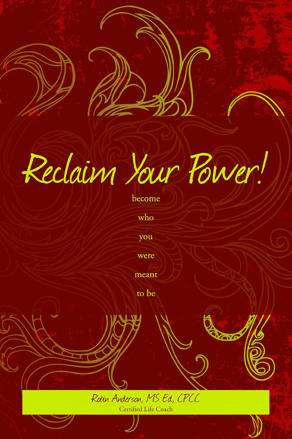 Reclaim Your Power!: Robin Anderson, MS Ed CPCC: 9780982858547: Amazon ...