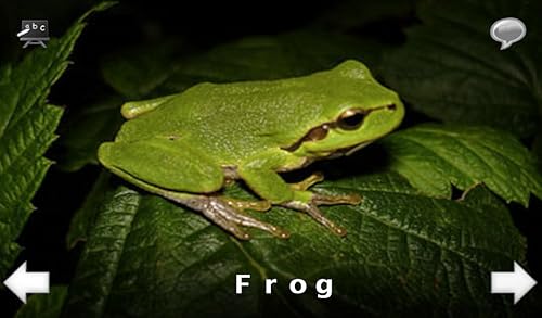 Animal Sounds and Spell for Kids HD - App on Amazon Appstore