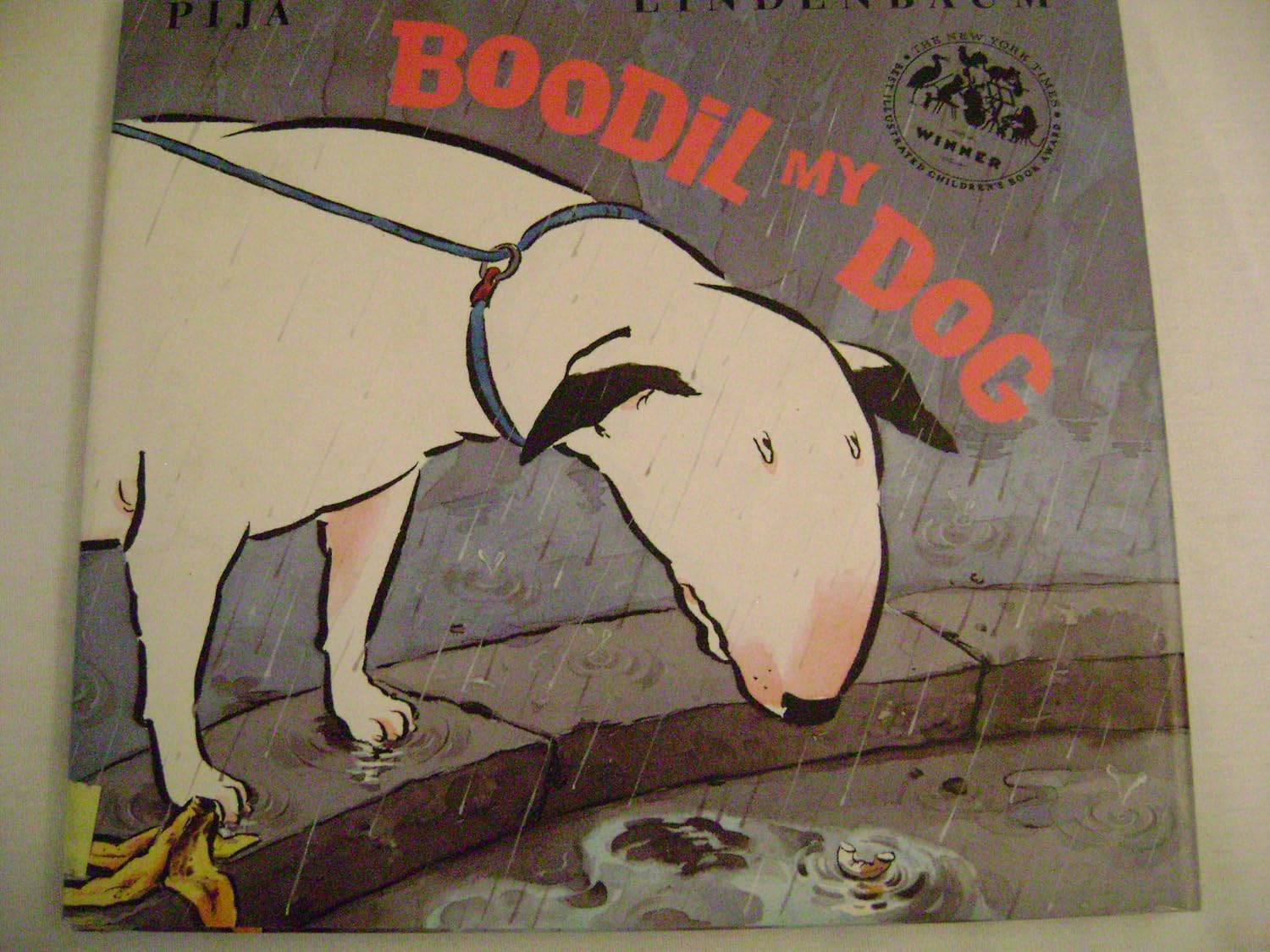 Boodil, My Dog: Pija Lindenbaum, Gabrielle Charbonnet: 9780805024449 ...