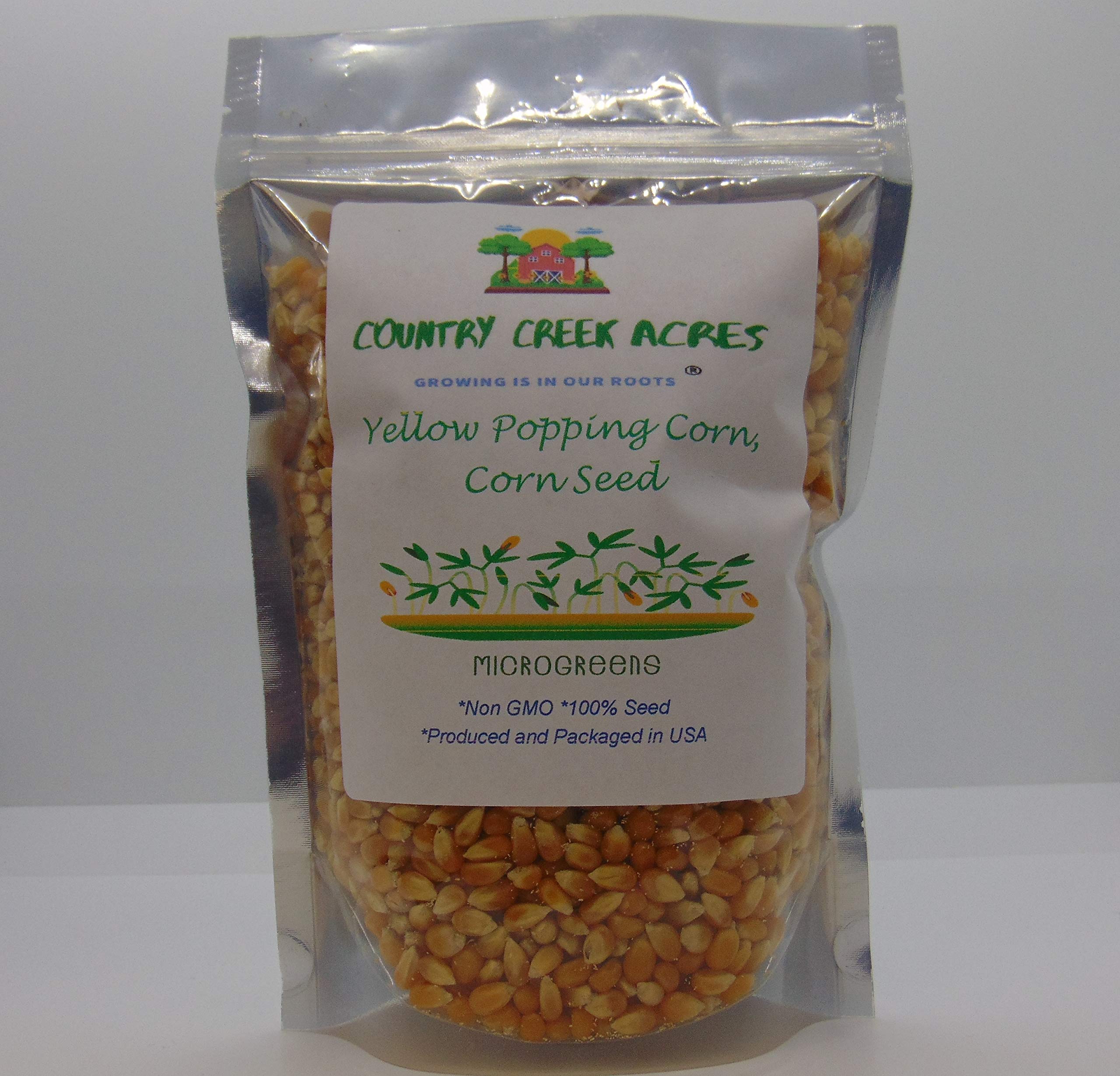 Amazon.com : 4oz Yellow Popping Corn, Corn Seed for Growing, Heirloom ...