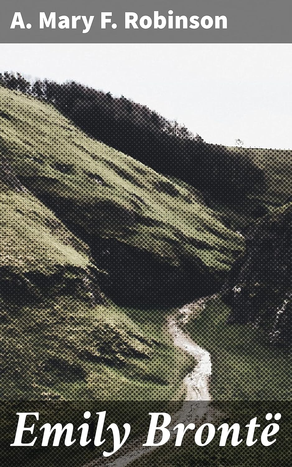 Amazon.com: Emily Brontë: Exploring the Gothic Romance and Emotional ...