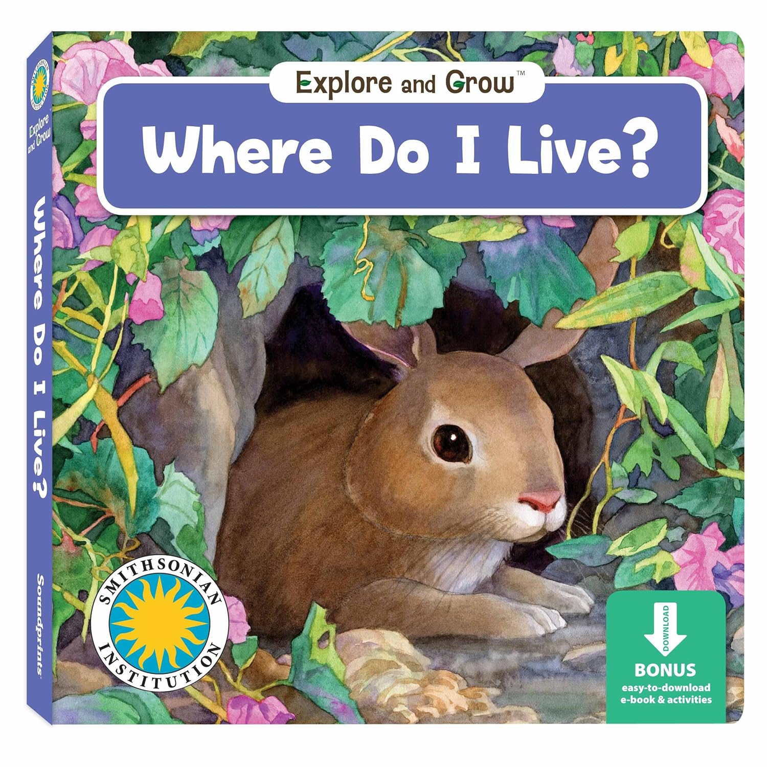 Where Do I Live?: Galvin, Laura Gates: Books - Amazon.ca
