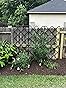 Amazon.com : Giant Trellis, 108” high (9’ Tall) by 28” Wide Trellis ...