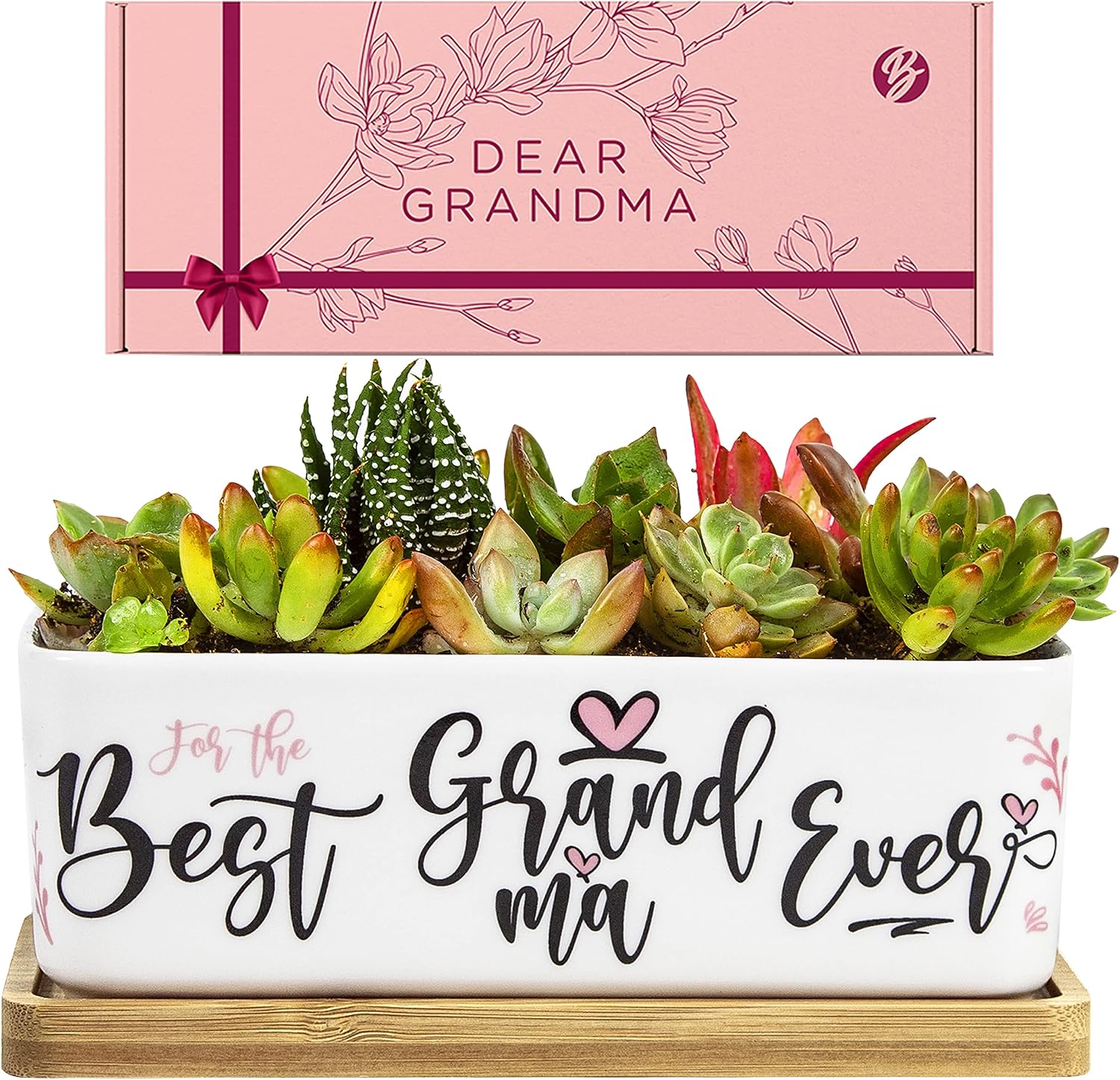 Amazon.com : Bawtt Best Grandma Ever Ceramic Planter Pot Gift for ...