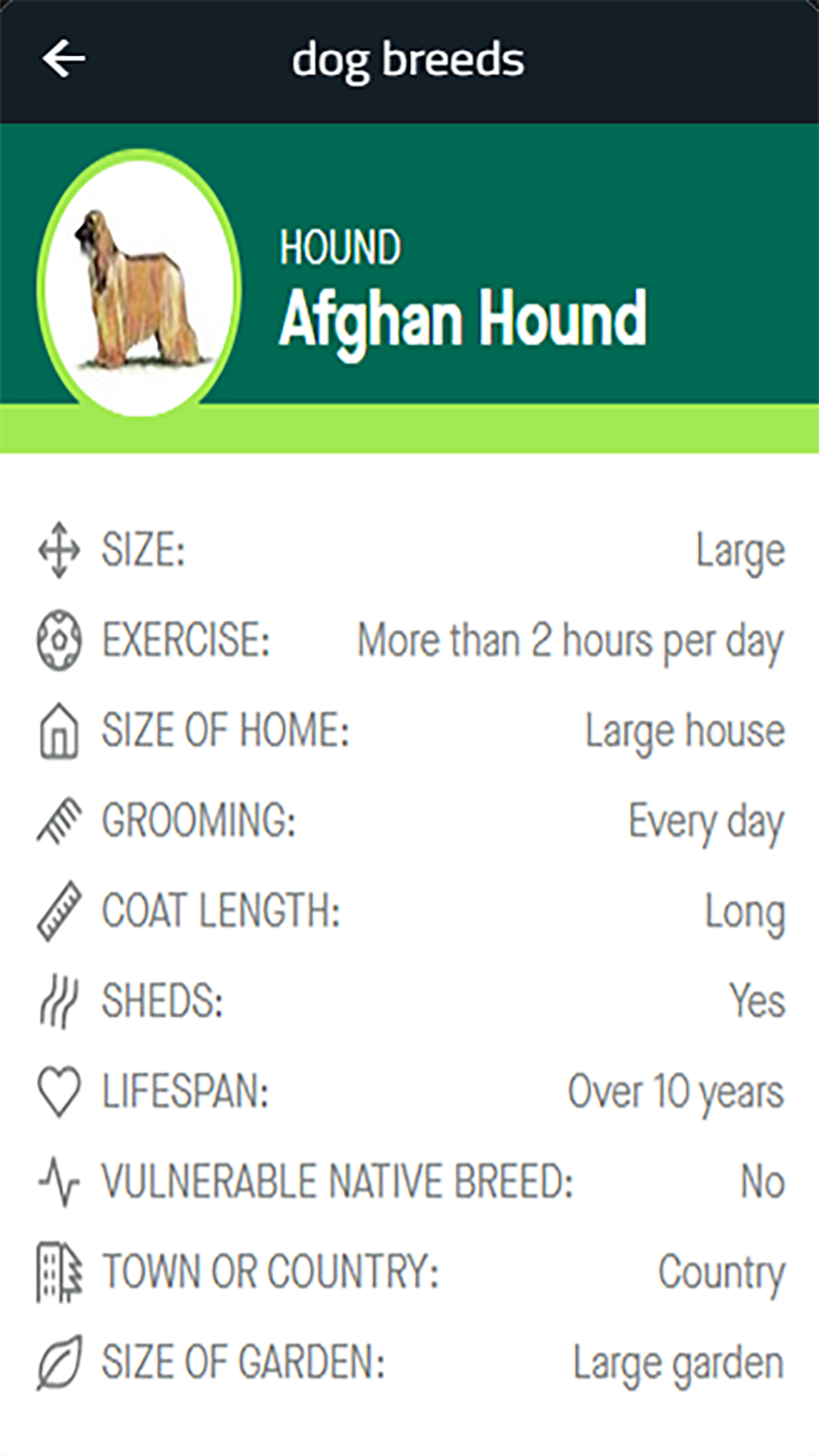 dog breeds - App on Amazon Appstore