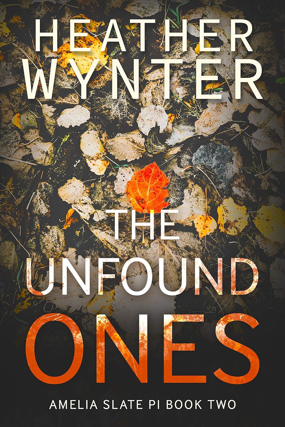 Amazon.com: The Unfound Ones (Amelia Slate PI Book 2) eBook : Wynter ...
