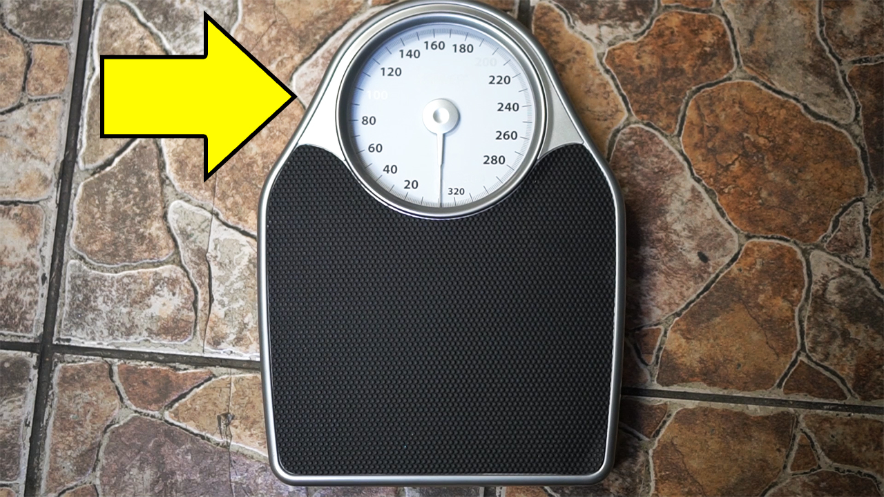 Watch Scale or Fail? Unmasking the Thinner Scale! on Amazon Live