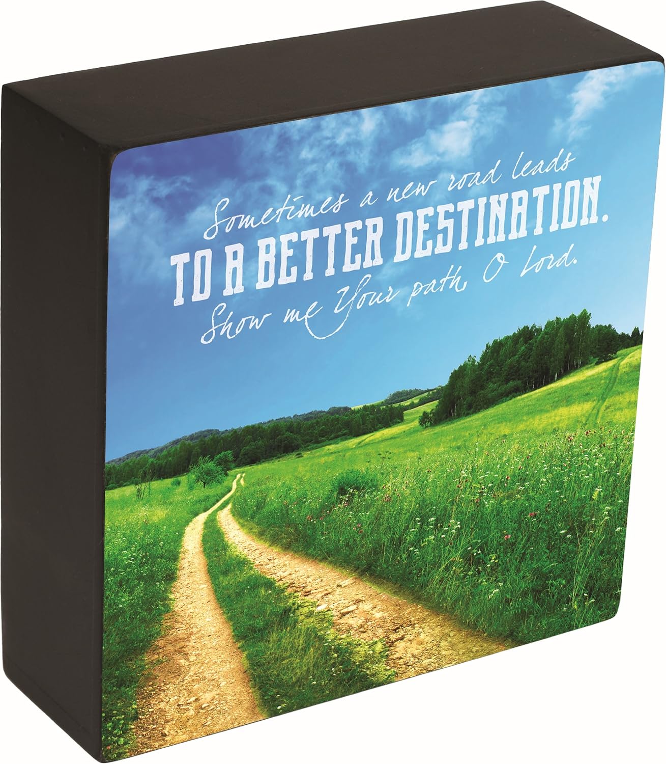 Buy Carpentree 6" x6" x2" Better Destination Box Plaque 6" Online at ...