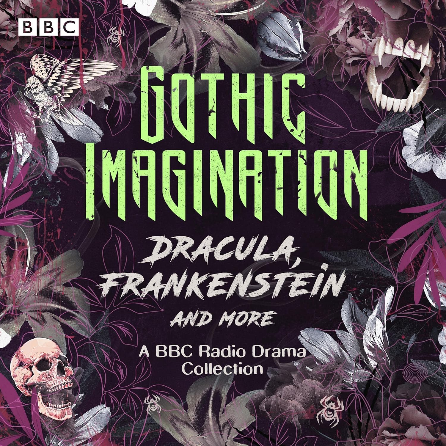 Amazon.com: Gothic Imagination: Dracula, Frankenstein & More: A BBC ...