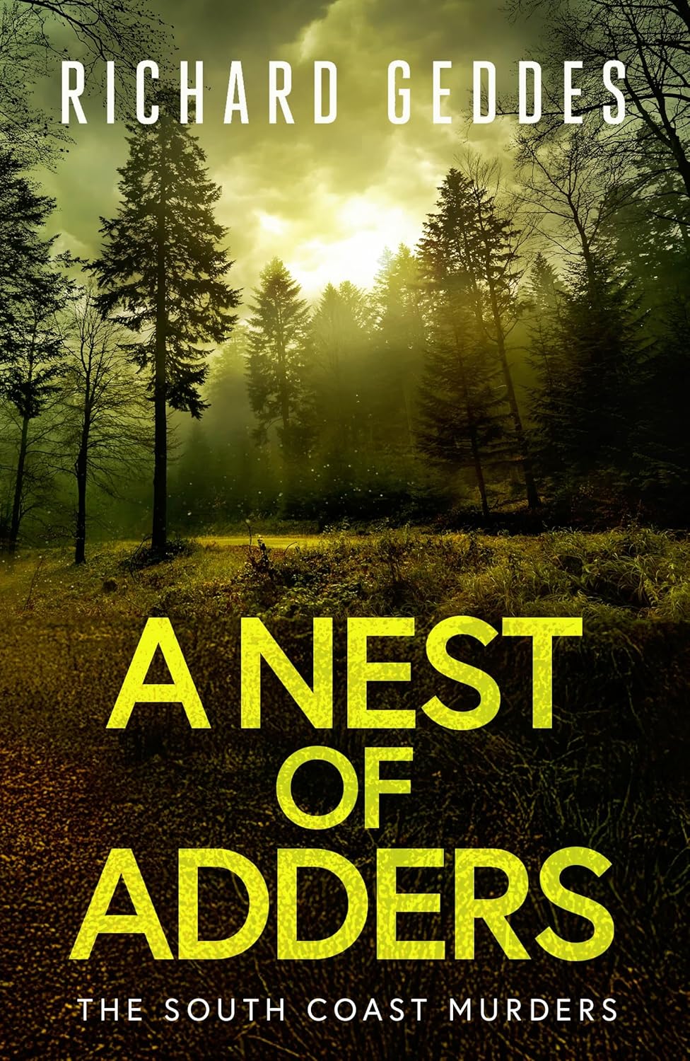 A Nest of Adders (The South Coast Murders Book 2) eBook : Geddes ...