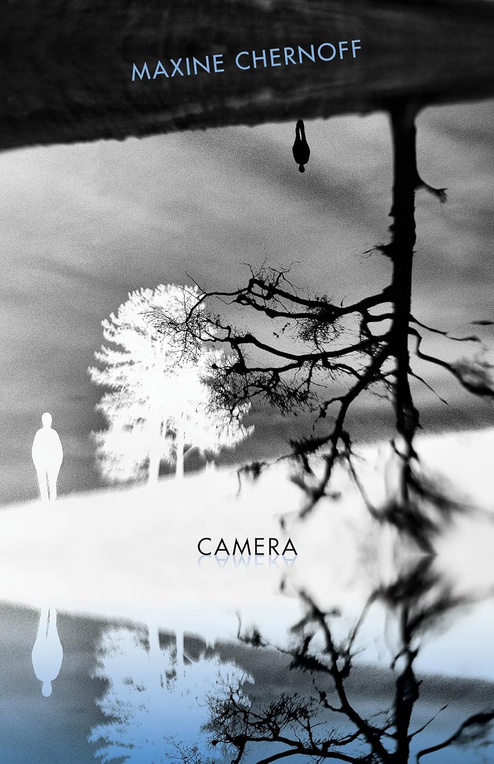 Camera: Chernoff, Maxine: 9780998859439: Amazon.com: Books