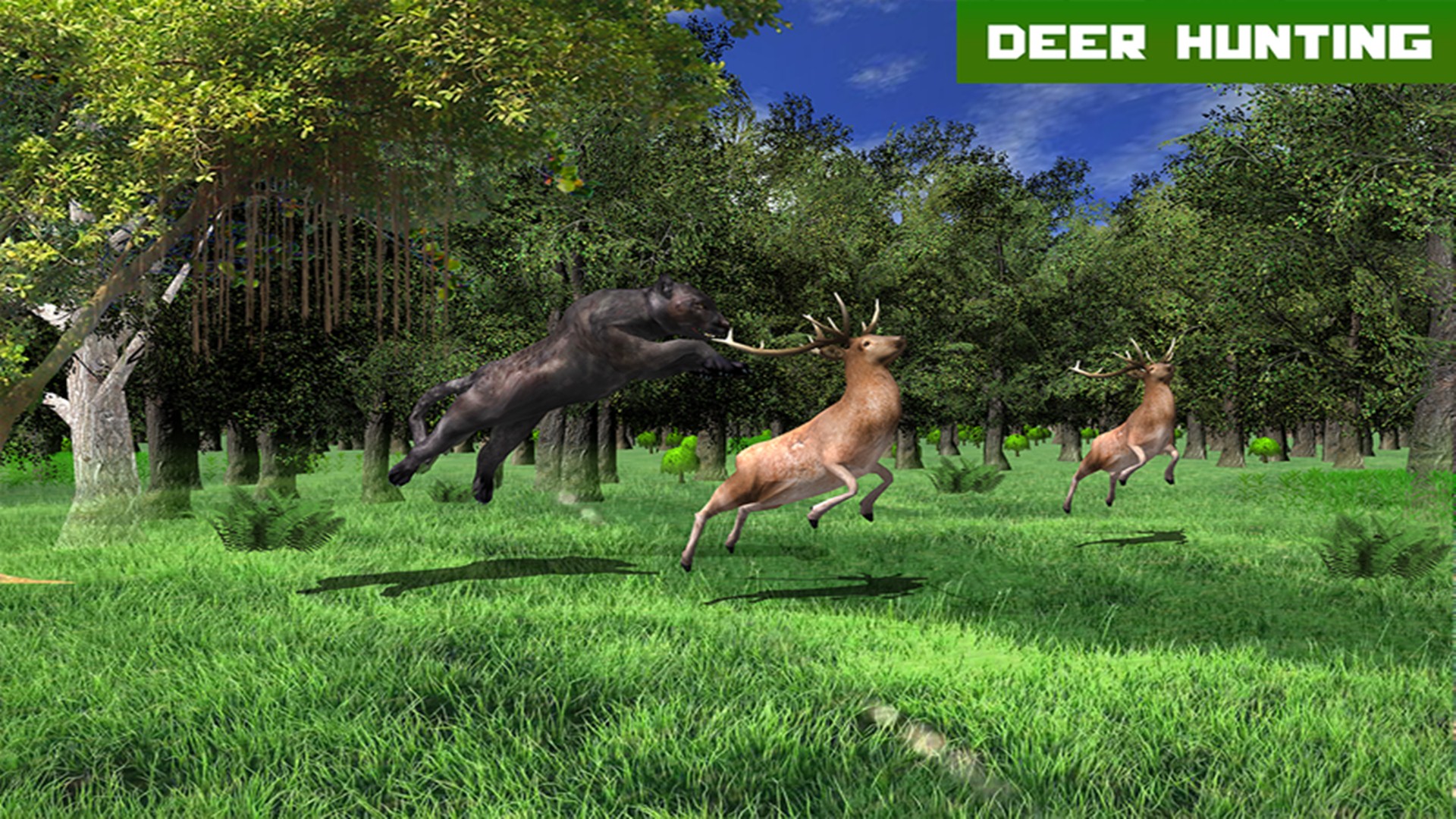 Panther Family Simulator - App on the Amazon Appstore