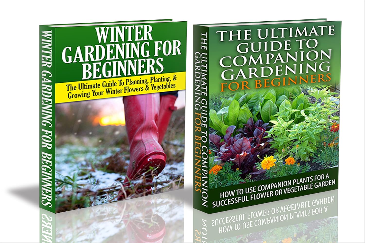 Gardening Box Set #8: Winter Gardening for Beginners & The Ultimate ...
