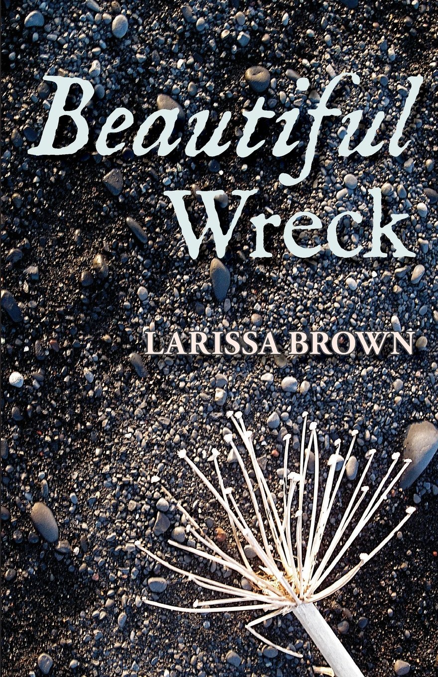 Amazon.com: Beautiful Wreck: 9781937513313: Brown, Larissa: Books