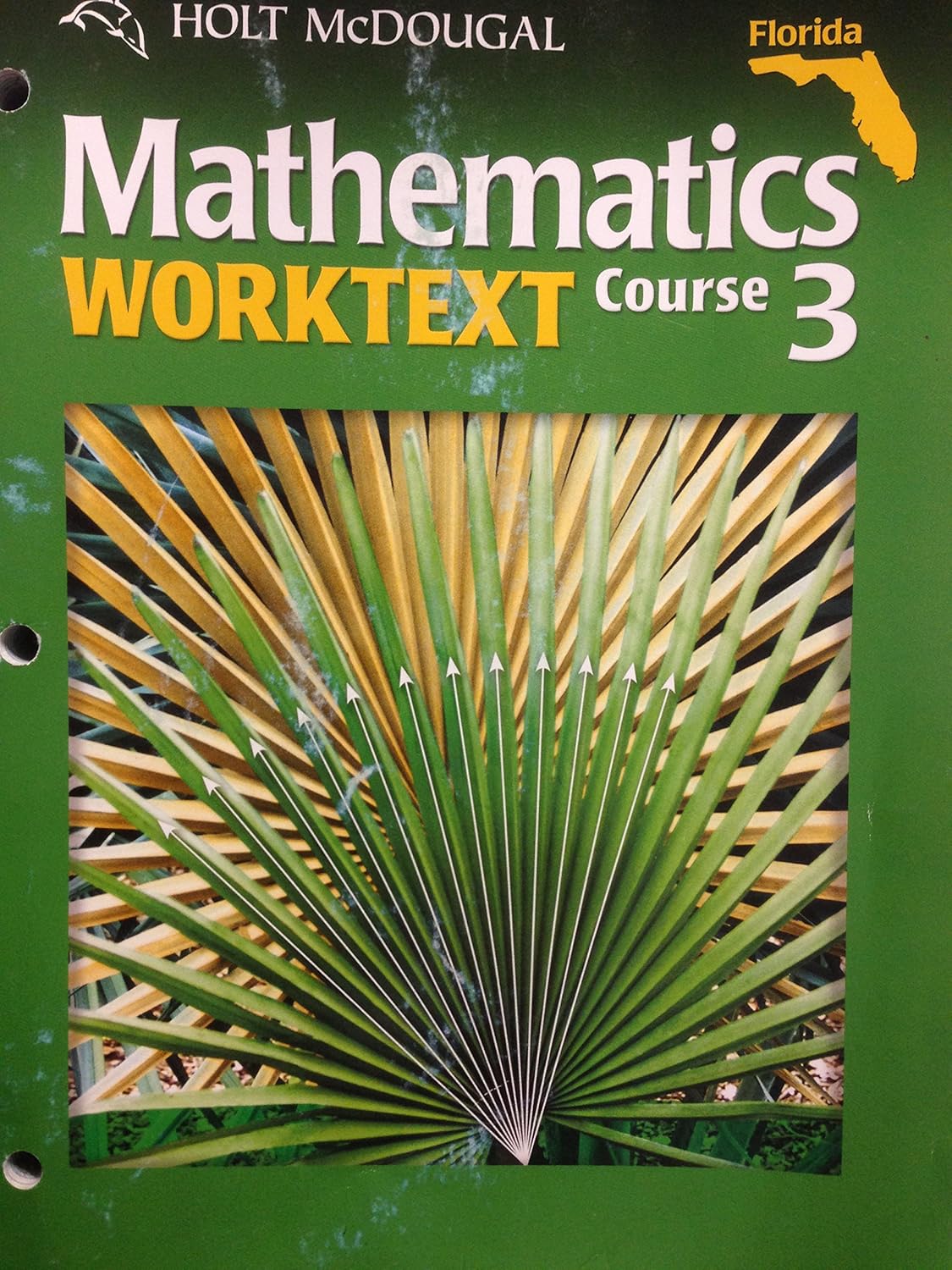 Mathematics: Student Worktext 6 Year Implementation, Course 3, Grade 8 ...