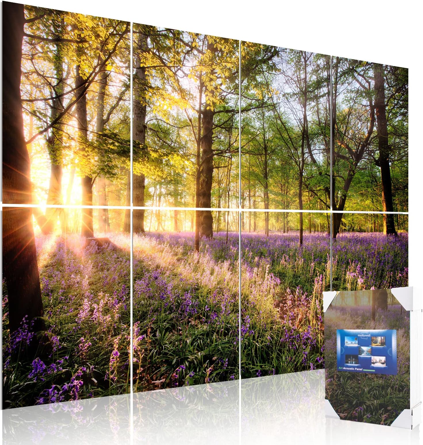 Amazon.com: Art Acoustic Panels, 48x32x0.4 Inch, Sound Proofing, Wall ...