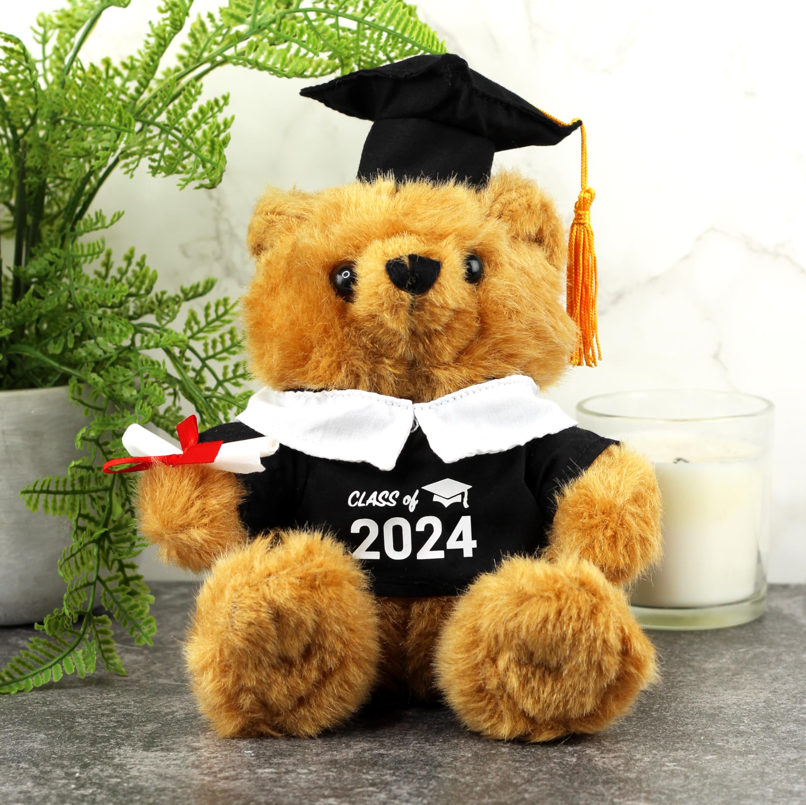 eBuyGB Graduation Bear with Gown, Hat & Diploma, Class of 2024 Plush ...