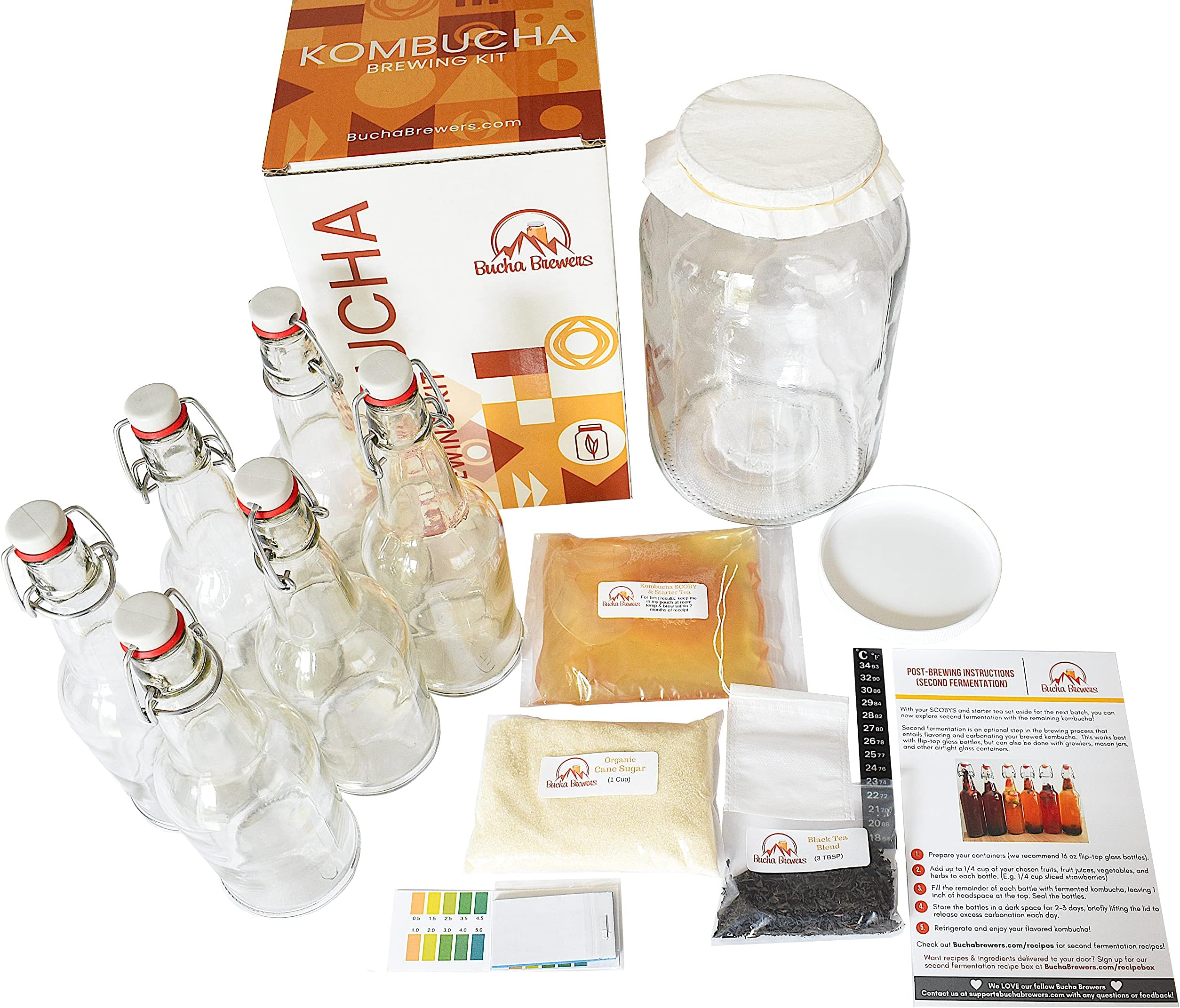 Amazon.com: The Kombucha Shop Organic Kombucha Starter Kit - 1 Gallon ...