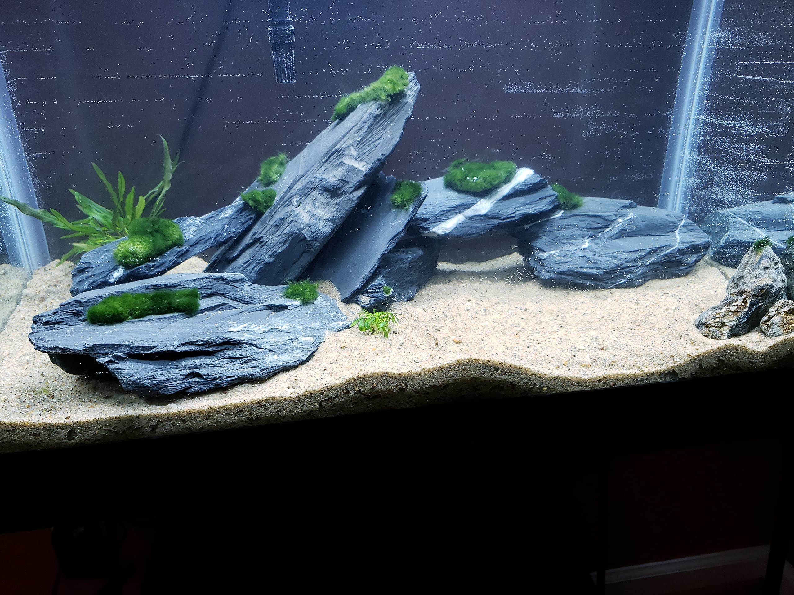 Natural Slate - Large 5 to 7 inch Stones. PH Neutral. Perfect for ...