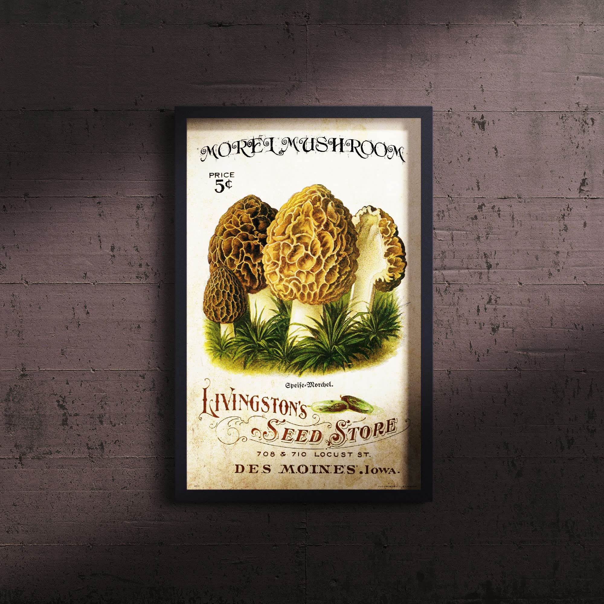 Morel Mushroom Quotes