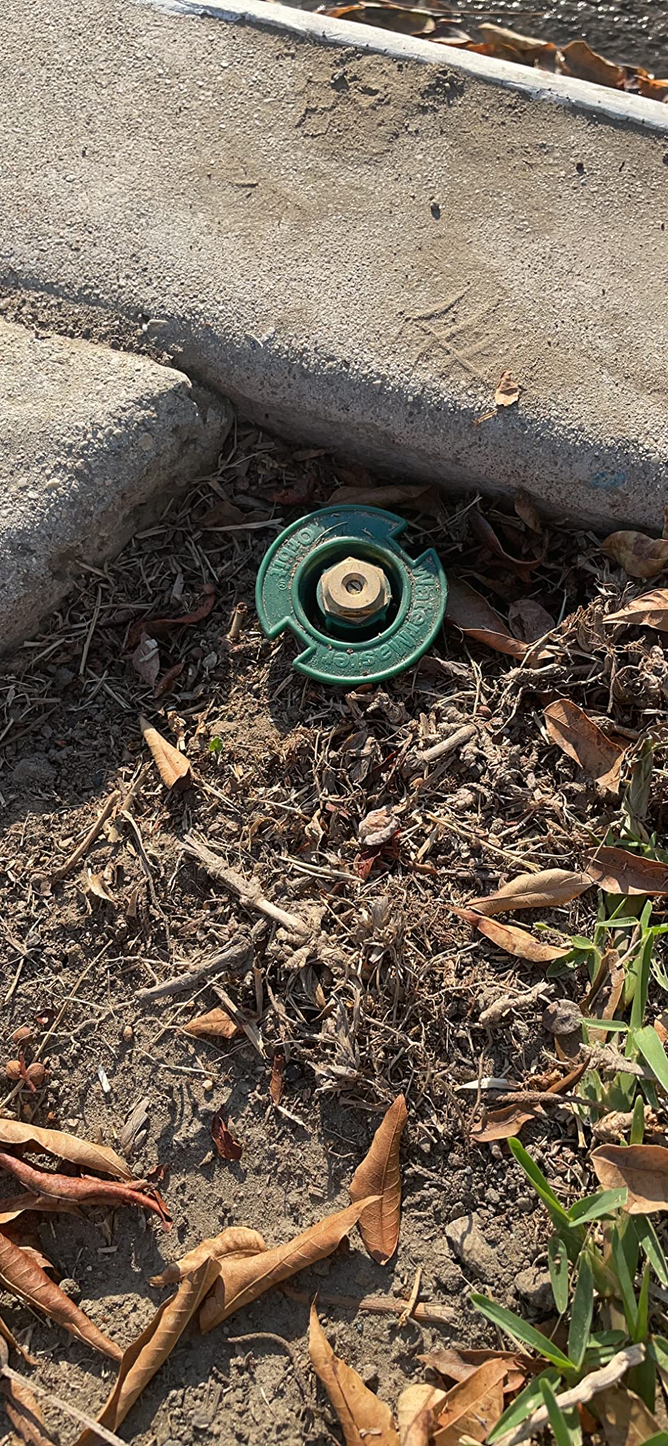 Amazon.com : Orbit 54006D Plastic Flush Half Spray Pattern Sprinkler ...
