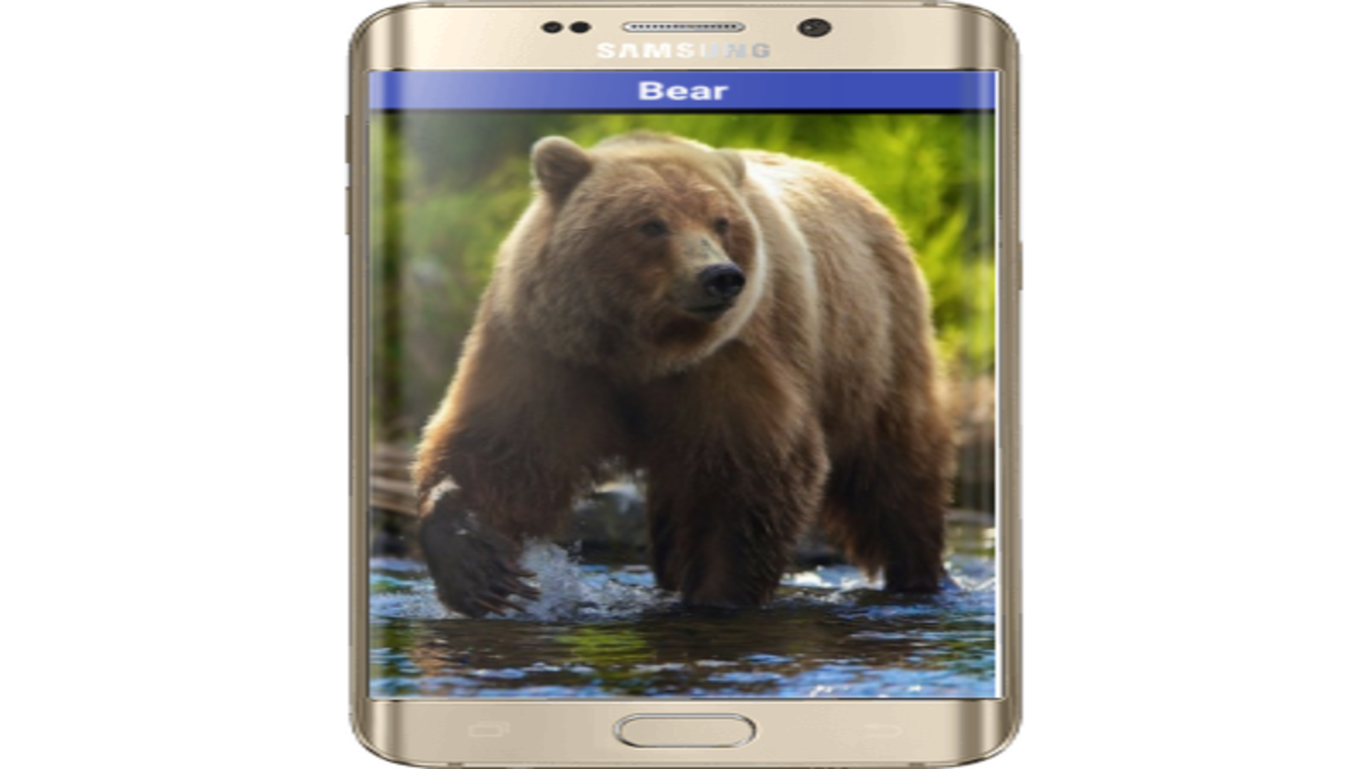 Wild animals sounds for kids - App on Amazon Appstore