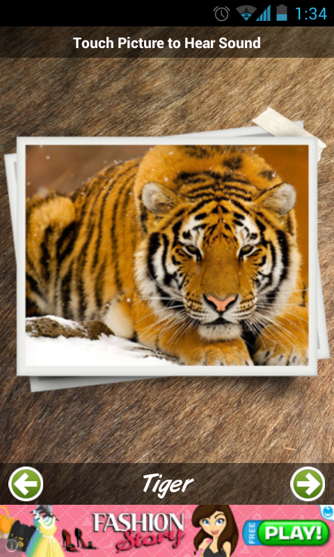 Animal Sounds - App on Amazon Appstore