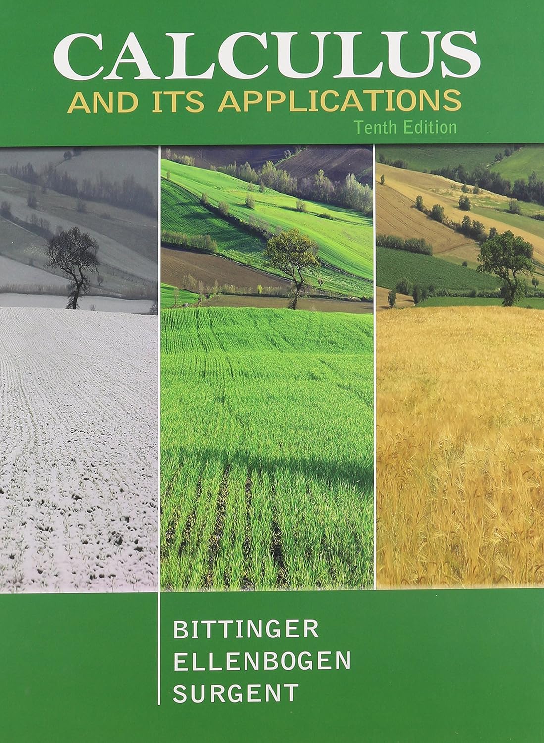 Calculus and Its Applications, MyMathLab, and Student Solutions Manual ...