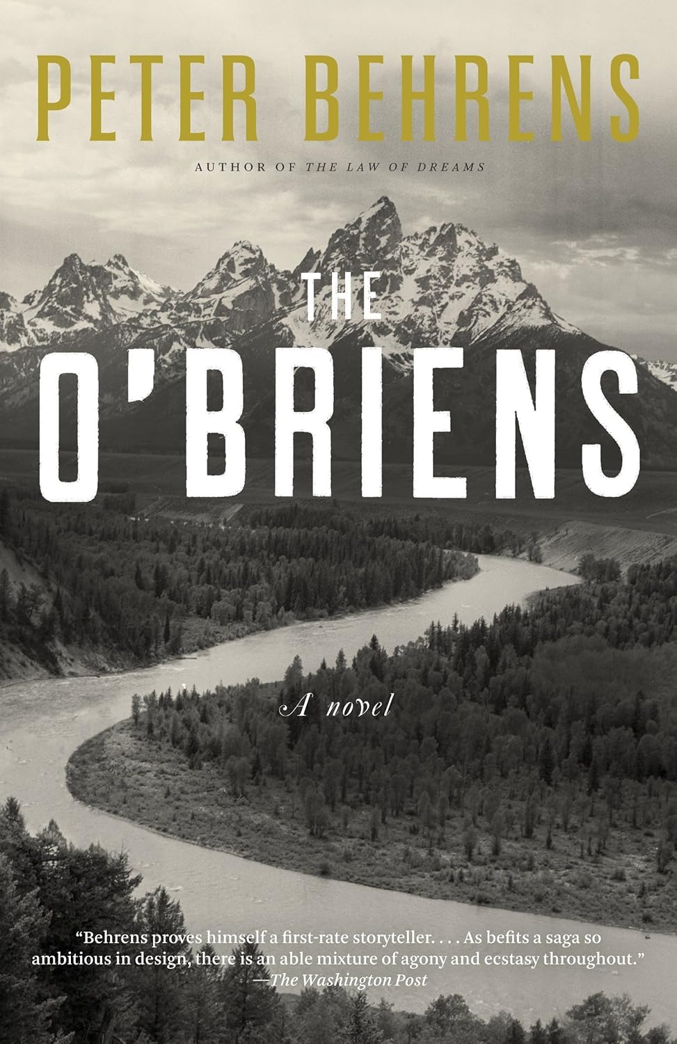 Amazon.com: The O'Briens: 9780307744388: Behrens, Peter: Books