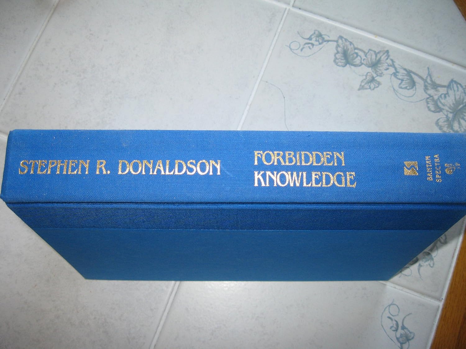 Forbidden Knowledge: The Gap Into Vision: Donaldson, Stephen R ...