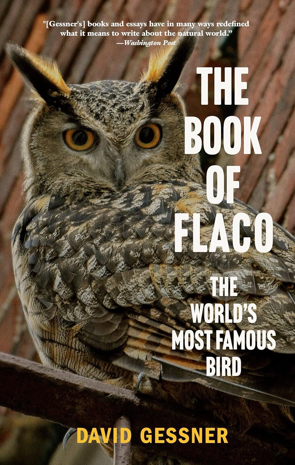 The Book of Flaco: The World's Most Famous Bird: Gessner, David ...