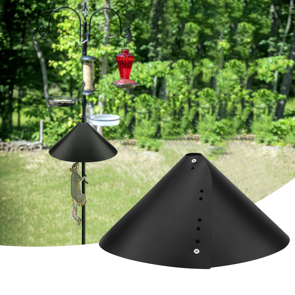 Watch Wrap Around Squirrel Baffle Installation Steps on Amazon Live