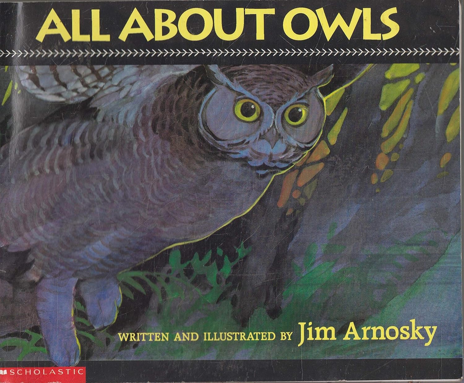 All About Owls: Arnosky, Jim, Arnosky, Jim: 9780439058520: Amazon.com ...