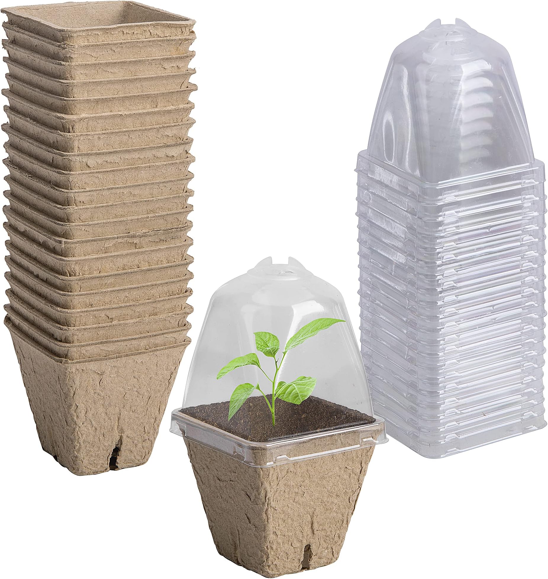 Amazon.com: Fairooth 32 Set Garden Paper Pot Craft Kit 32 Pack Plant ...