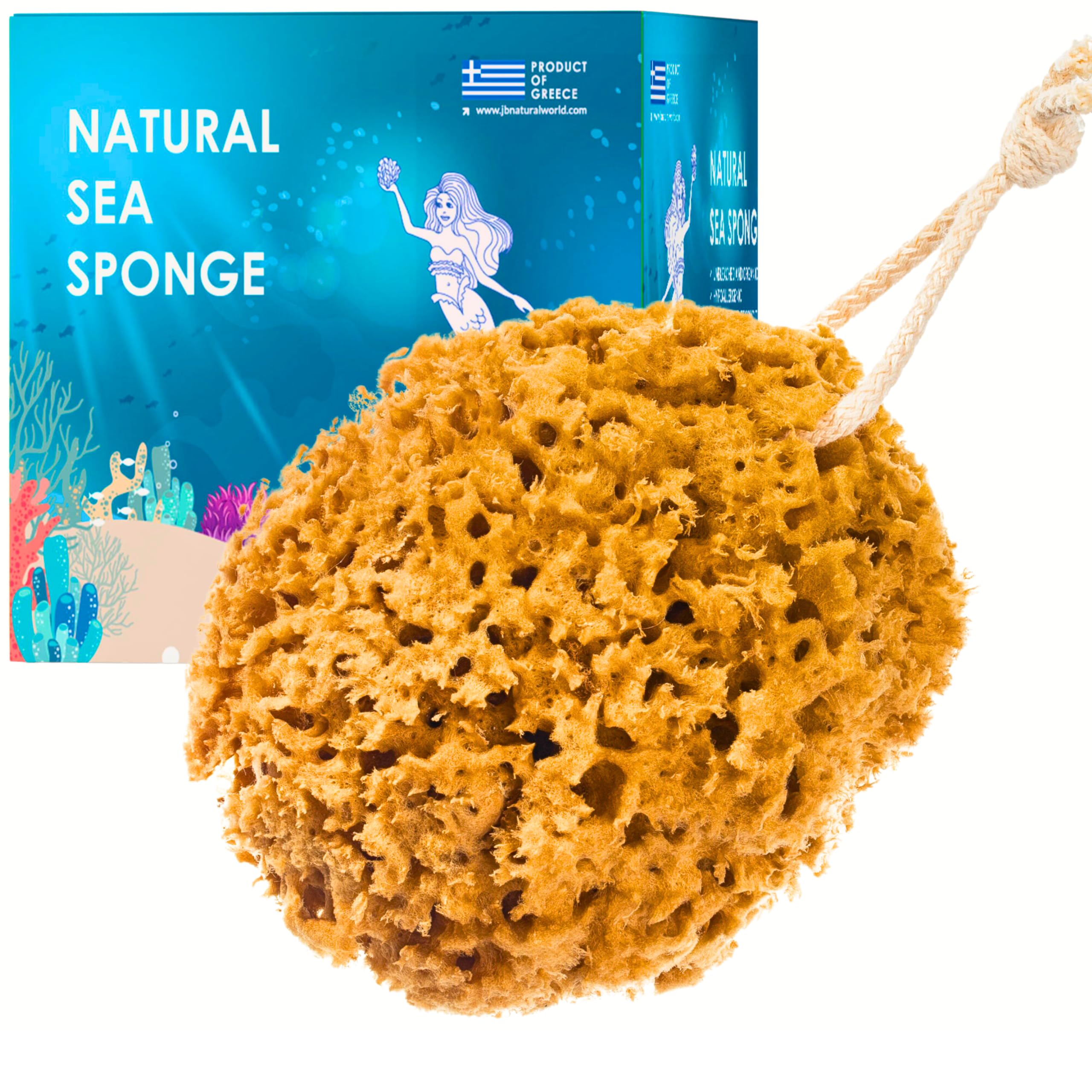 Jordan Benedict Natural Sea Sponge, Unbleached Honeycomb Bath Sponge ...