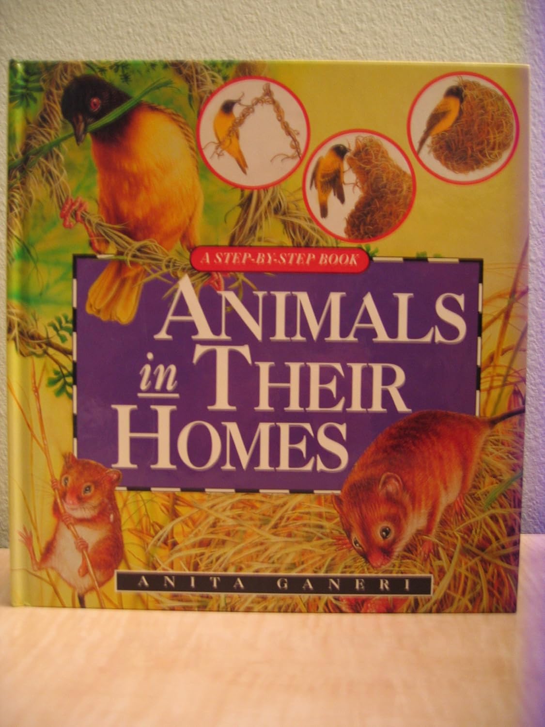 Animals in Their Homes: Ganeri, Anita: 9780887057557: Amazon.com: Books