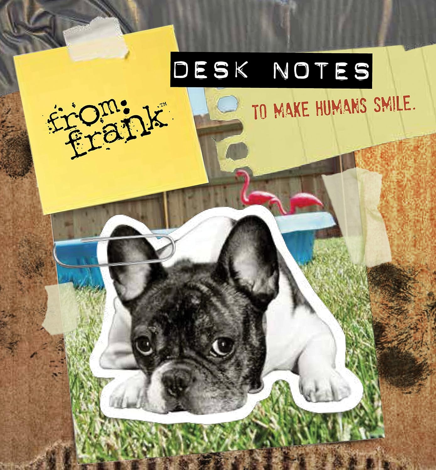 From Frank Desk Notes To Make Humans Smile (Greetings from Frank ...