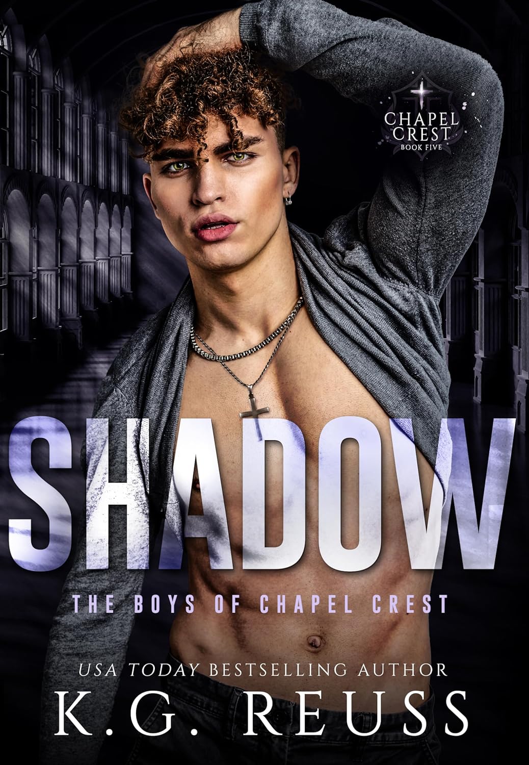 Shadow: A Dark Asylum Bully Romance (The Boys of Chapel Crest Book 6 ...