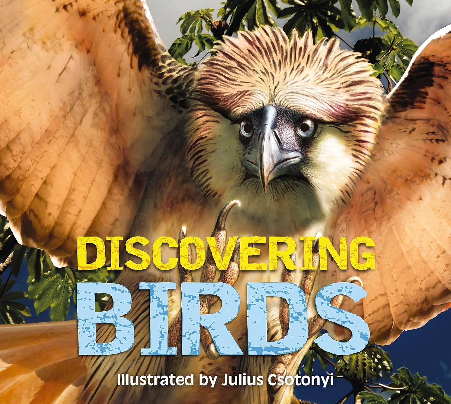Discovering Birds: The Ultimate Handbook to the Birds of the World ...