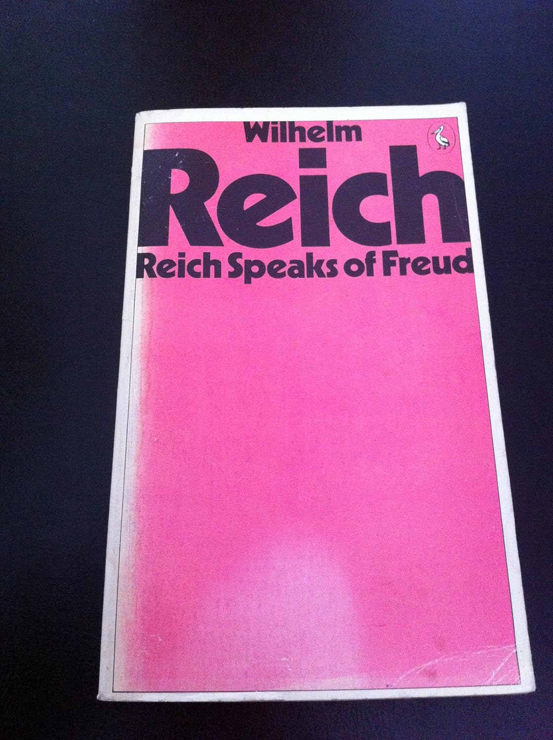 Reich speaks of Freud: Wilhelm Reich discusses his work and his ...