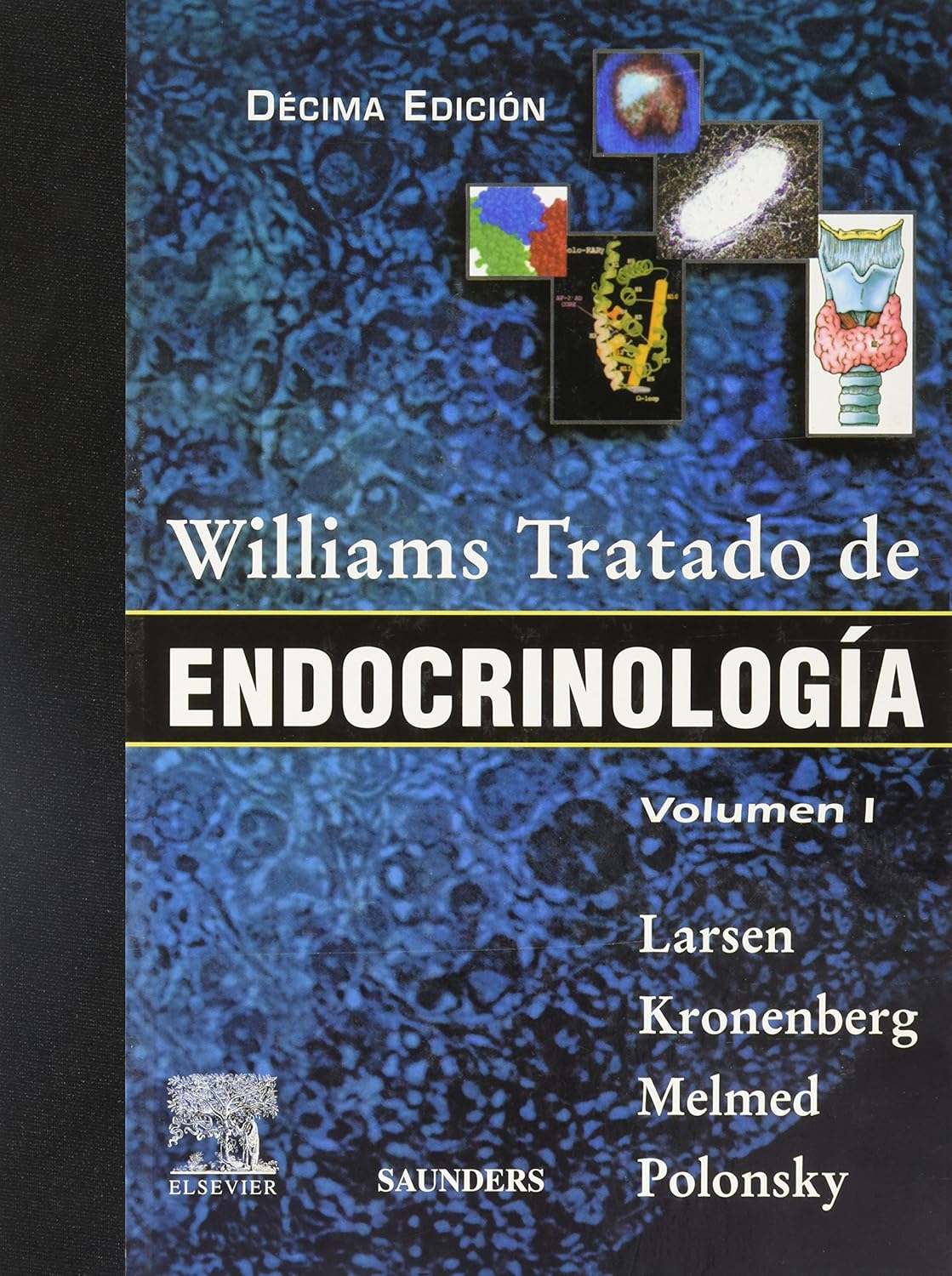 Amazon.com: Williams Tratado de Endocrinologia (2 Vols) (Spanish ...