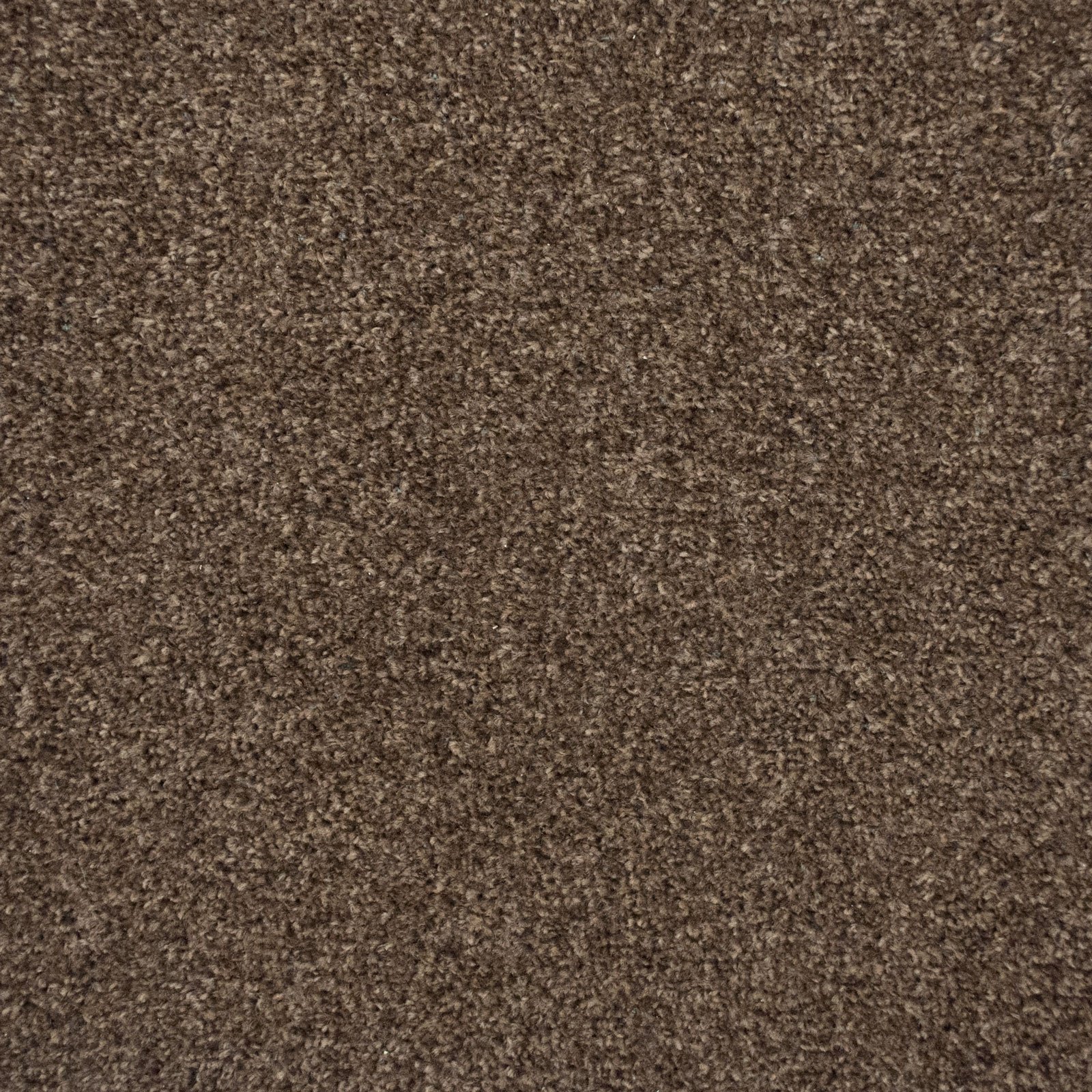 247Floors Flecked Twist Pile Carpet Roll, Hardwearing Felt Backing (3m ...