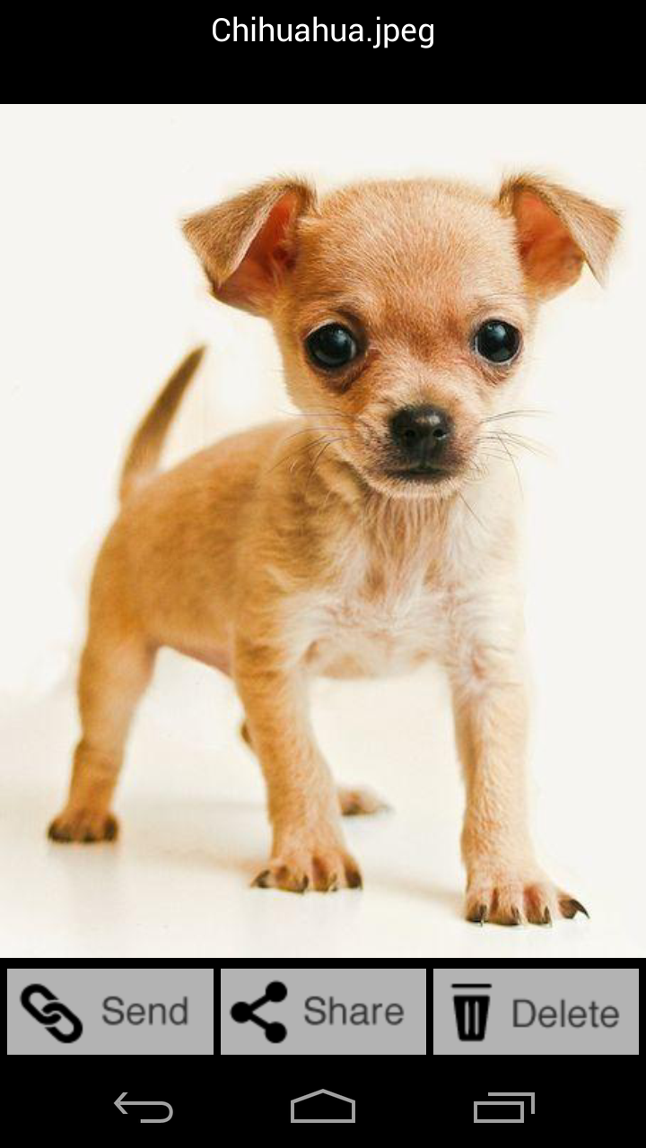 CX - App on Amazon Appstore