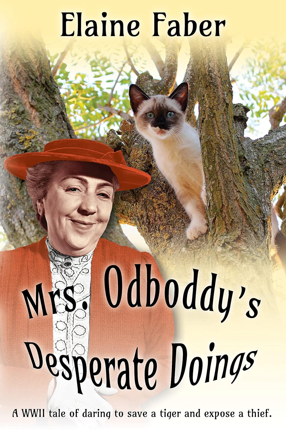 Amazon.com: Mrs. Odboddy's Desperate Doings: A WWII tale of daring to ...