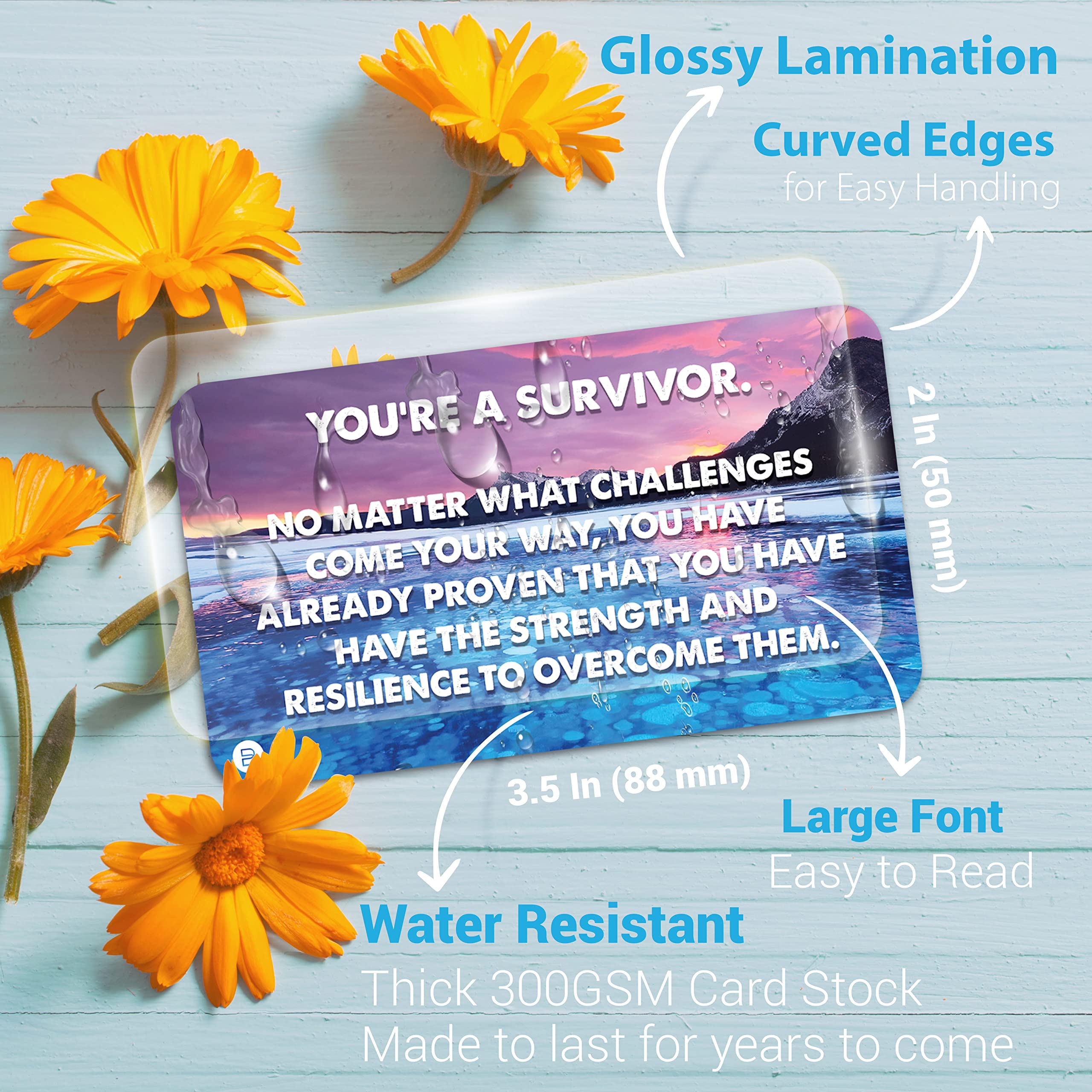 Snapklik.com : Empowerment In Recovery: 70 Encouragement Cards ...