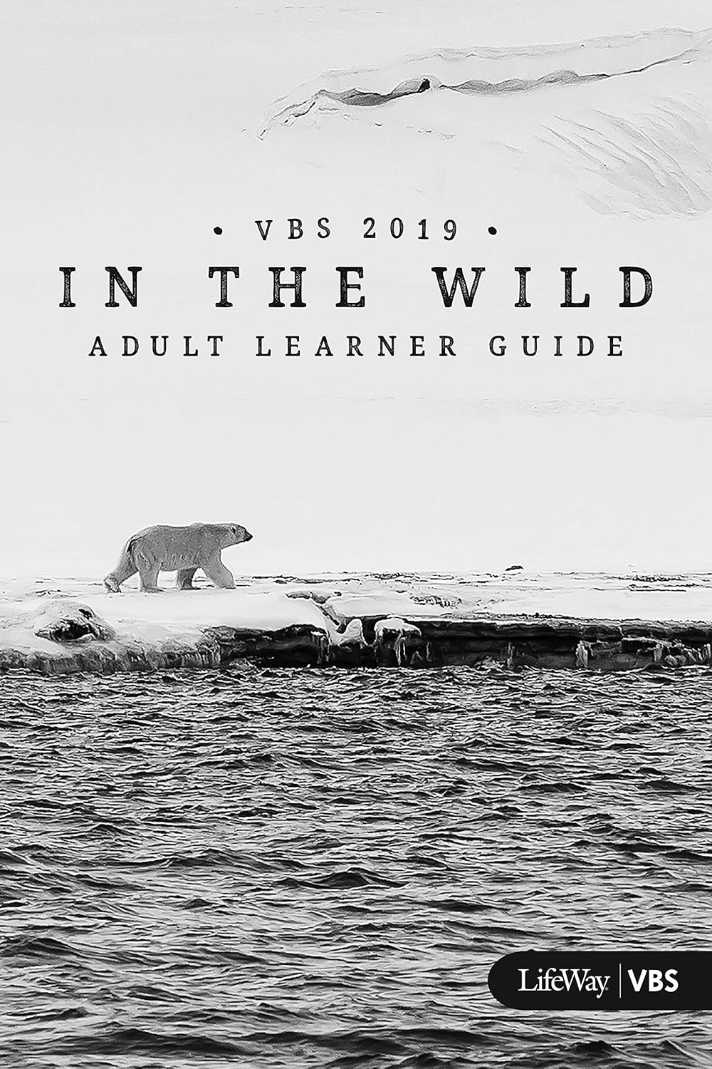 Amazon | Vbs 2019 Adult Learner Guide | Lifeway Kids | Christian Living