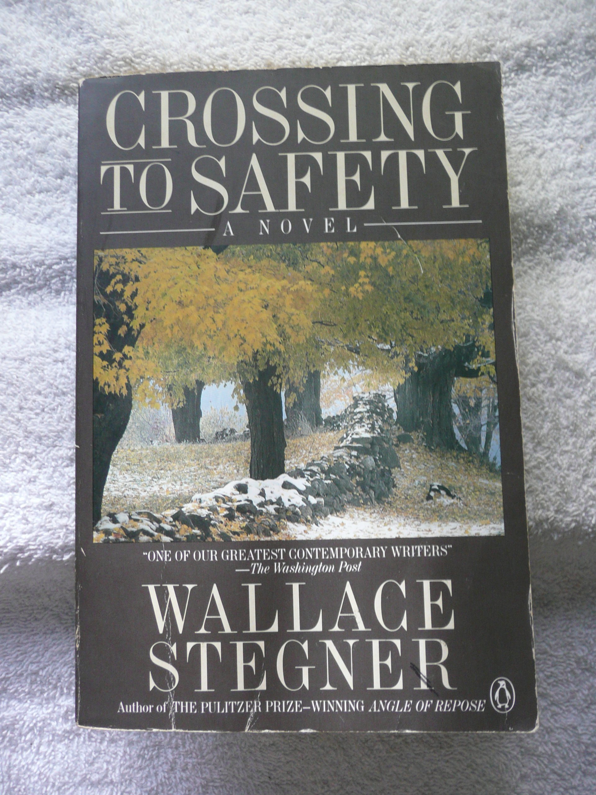 Crossing to Safety: Stegner, Wallace: 9780140112498: Amazon.com: Books